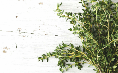 Thyme - Minus Bite
